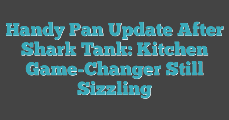 Handy Pan Update After Shark Tank: Kitchen Game-Changer Still Sizzling ...